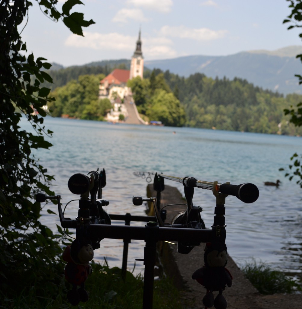 Lake Bled | Fishing Guide - Organizacija ribolova Slovenija - Slovenia