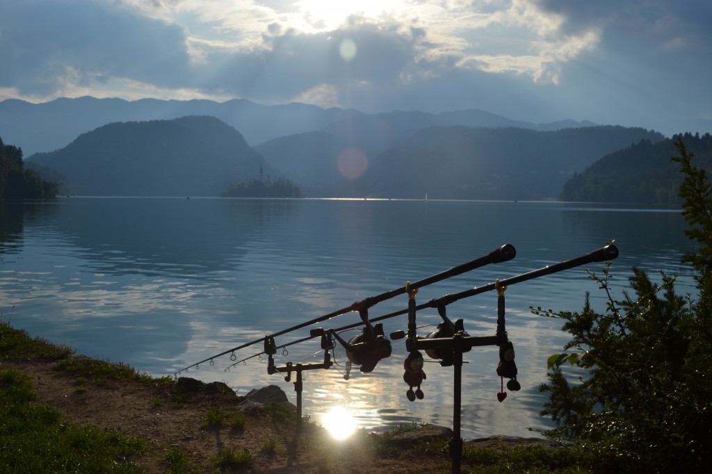 Lake Bled | Fishing Guide - Organizacija ribolova Slovenija - Slovenia